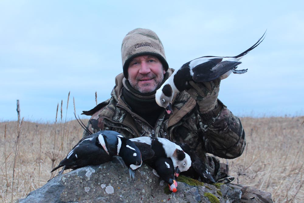 Alaska King Eiders – Scott Haugen